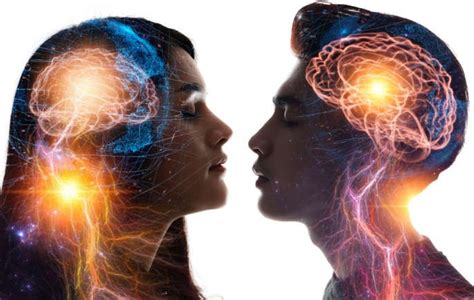 Are Male And Female Brains Different