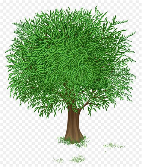 Tree Clip Art Tree PNG Transparent Clip Art Png Download 6256 8000 Free Transparent Tree