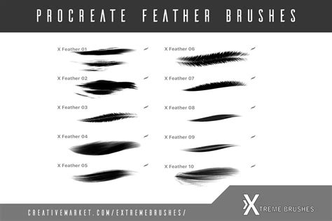 Procreate Feather Brushes Masterbundles