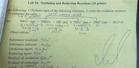 Solved Lab Oxidation And Reduction Reactions Points Chegg