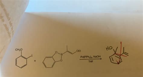 Solved Predict The Product Of The Heck Reaction And Chegg