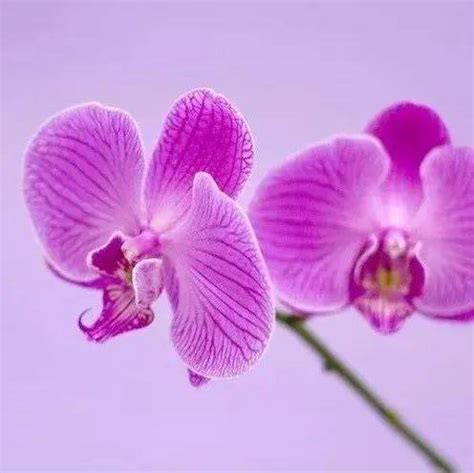 往事如浮云快乐在当下 生活 什么 开心