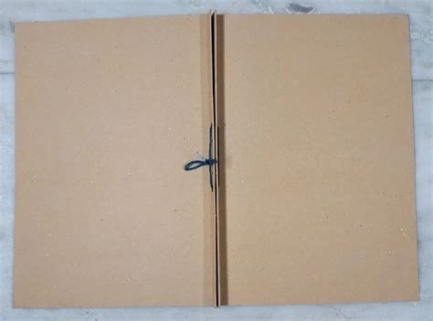 Cardboard Paper Filemate RONIO FILE NO 900 450 GSM ADVOCATE FILE