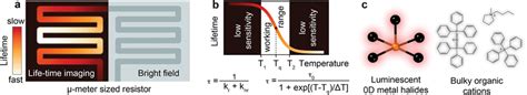 A A Schematic Depiction Of A Flat Substrate With Micrometer‐sized