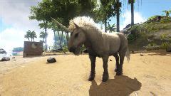 Unicorn Color Regions Ark