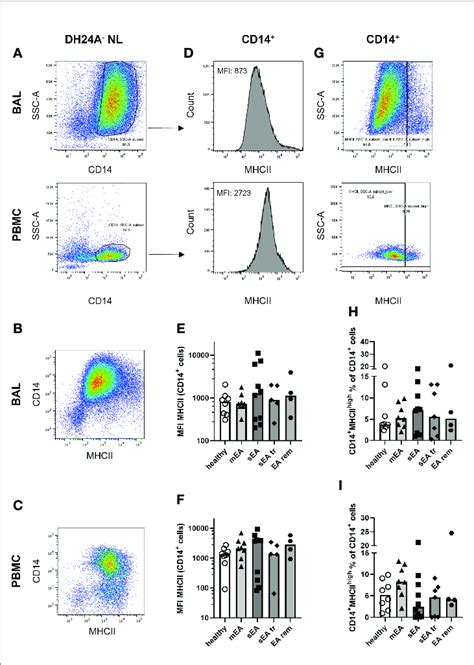 Mhcii Expression On Cd14 Macrophages Is Similar In Bal Samples From