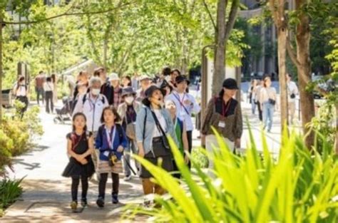 7月29日から「ヒルズ街育プロジェクト」開催 住宅新報web 総合