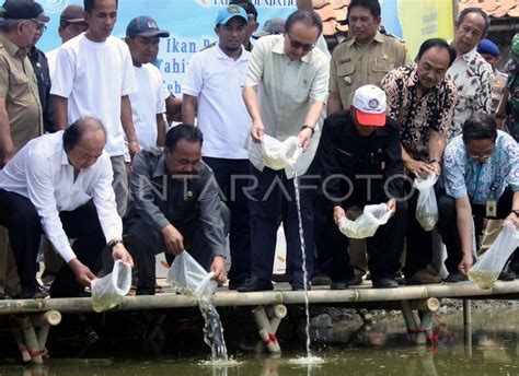Menteri Kelautan Dan Perikanan Antara Foto