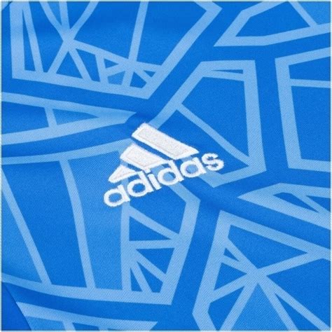 Camisa Flamengo Goleiro 2223 Torcedor Adidas Masculina Azul