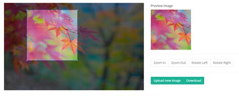 javascript how to send cropped image with form post stack overflow