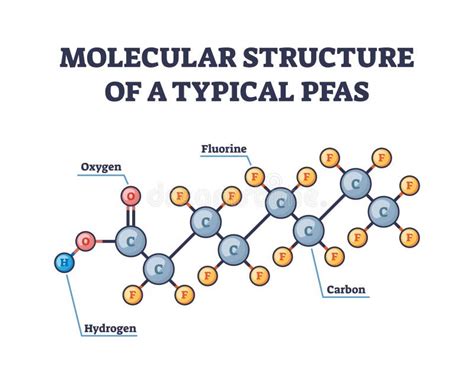 Carbon Molecular Structure Superdiamond” Carbon Boron Cages Can Trap