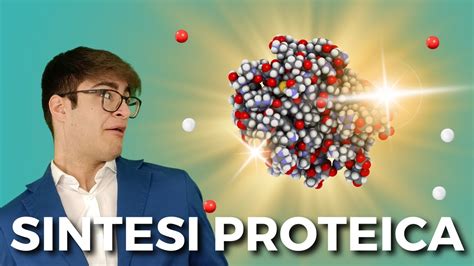 La Sintesi Proteica Spiegata Facile In Poco Meno Di 8 Minuti Biologia
