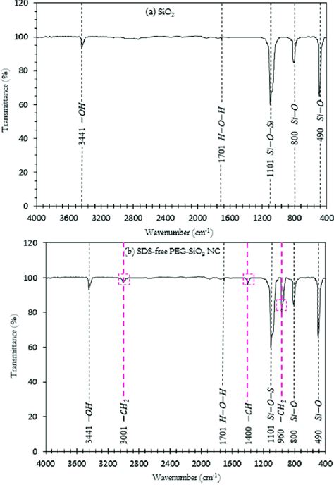 Ftir Spectra Of A Sio 2 And B Sds Free Peg Sio 2 Nc Download