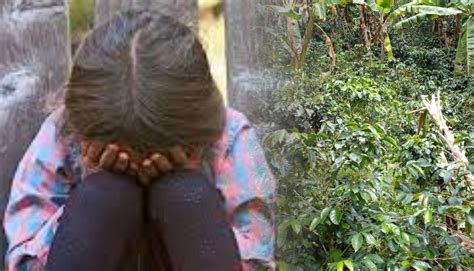 ¡exclusivo Así Fue El Aberrante Abuso Sexual De Una Niña En La Plata