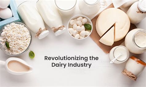 Innovative Dairy Processing Technologies Transforming The Dairy