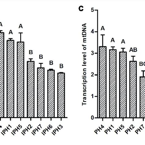 Detections Mitochondrial Dna Copy Number And Transcription In