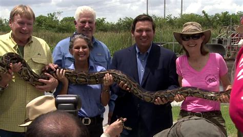 Florida Doubles Efforts To Hunt Invasive Pythons Fox 13 Tampa Bay
