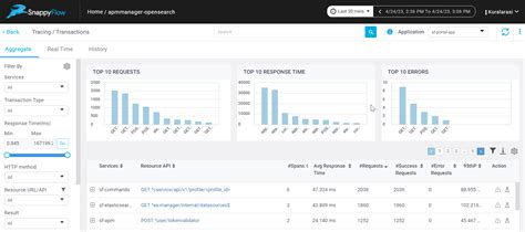 Monitor Java Application In Kubernetes SnappyFlow