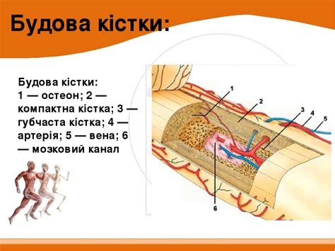 Урок 10
