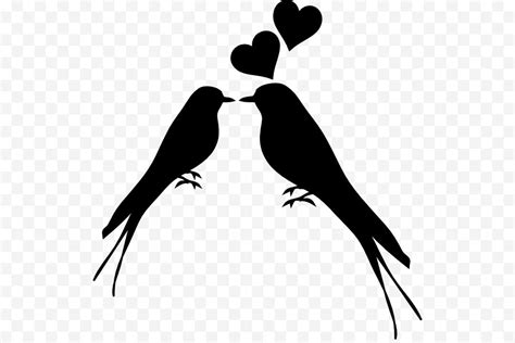 Love Birds PNG Transparent Images Pictures Photos