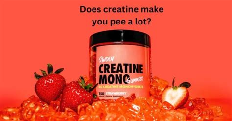 Does Creatine Make You Pee A Lot 8 Reasons Explained