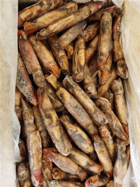 Китай Замороженные черные кальмары Поставщики Фабрика Морепродукты