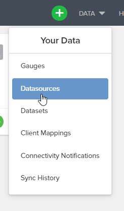 Connecting To Sentinelone Brightgauge Support