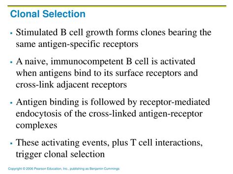 Ppt The Immune System Innate And Adaptive Body Defenses Powerpoint Presentation Id 6973470