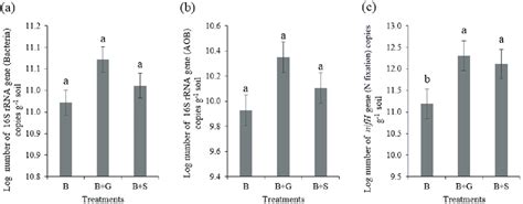 Copy Numbers Of The 16s Rrna Gene Total Bacteria A Copy Numbers Of