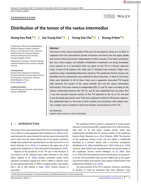 Pdf Distribution Of The Tensor Of The Vastus Intermedius