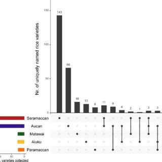 Upsetr Diagram Showing The Number Of Unique And Shared Vernacular Rice