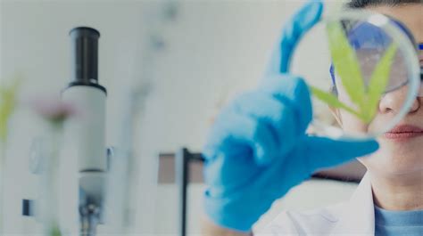 Proyecto De Ley “marco Regulatorio Para El Desarrollo De La Industria