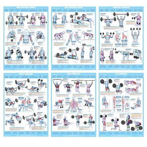 My Fit Life Gym Dumbbell And Core Workout Poster Laminated
