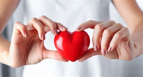 The Connection Between Collagen And Cardiovascular Health Wellme