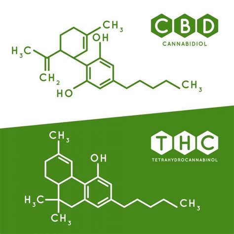Can Cbd Convert To Thc In Stomach Acid Rxleaf