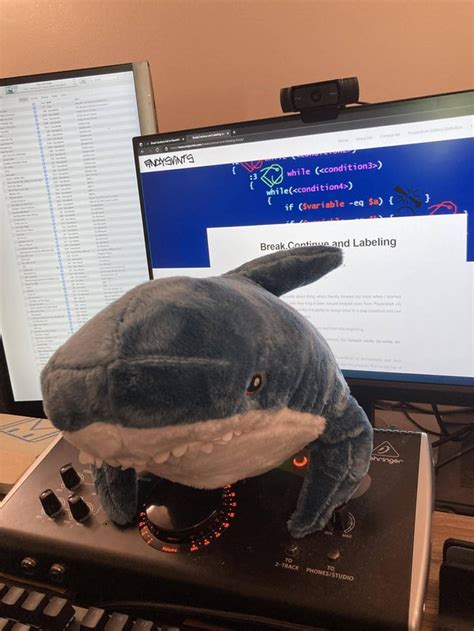 I Dont Own A Rubber Duck So Im Explaining My Powershell Script To My
