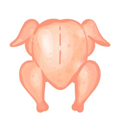 Raw Chicken Png