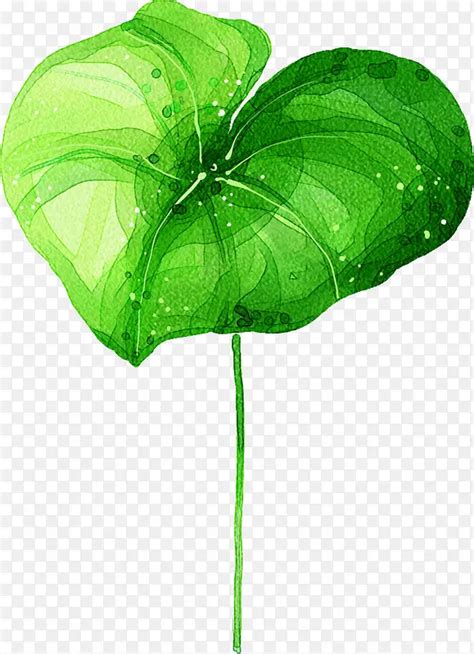 Png Png