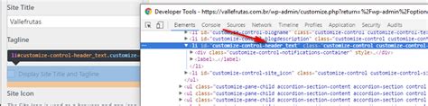 Theme Customizer How To Check Wp Customize Control Wordpress