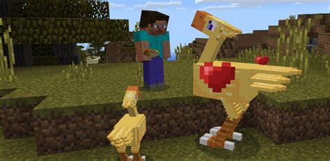 Chocobos Addon Minecraft Pe Mods And Addons