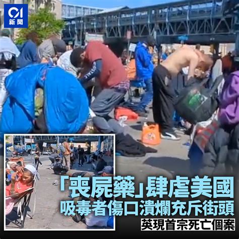 香港01 Hk01 On Twitter 一款新興毒品、被稱為「喪屍藥」及「鎮靜劑」（tranq）的「甲苯噻嗪」（xylazine）在