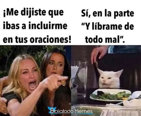 Meme Del Gato Meme Subido Por Dgarlingo Memedroid
