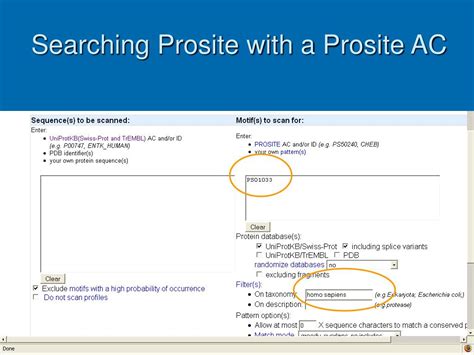 Ppt Prosite And Ucsc Genome Browser Exercise Powerpoint