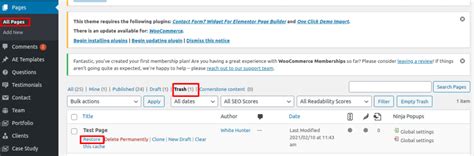 How To Recover Deleted Pages In WordPress Pixelaar FZC LLC