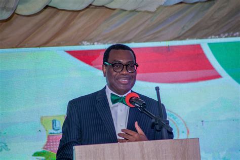 Adesina Urges Investment To Unlock Africas Renewable Energy Potential