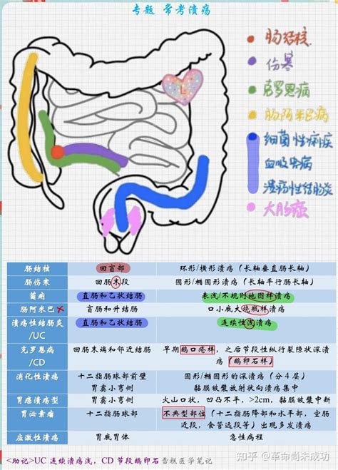 缺铁性贫血 知乎