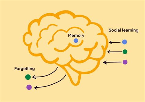 Science X Network On Linkedin Social Learning Simulation Model Shows How Groups Can Keep