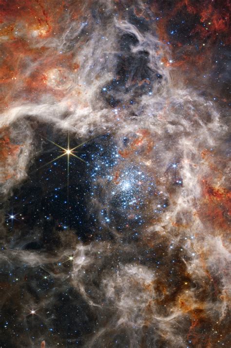 대마젤란은하 독거미 성운 타란튤라 성운 [tarantula Nebula] 네이버 블로그
