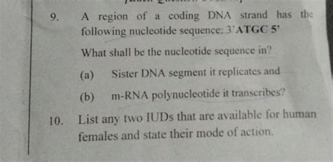A Region Of A Coding Dna Strand Has The Following Nucleotide Sequence 3