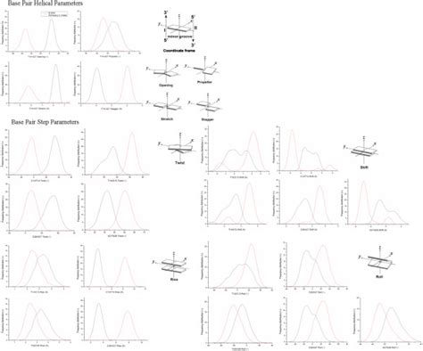 Frequency Distributions Of Dna Duplex Base Pair Helicalstep Parameters
